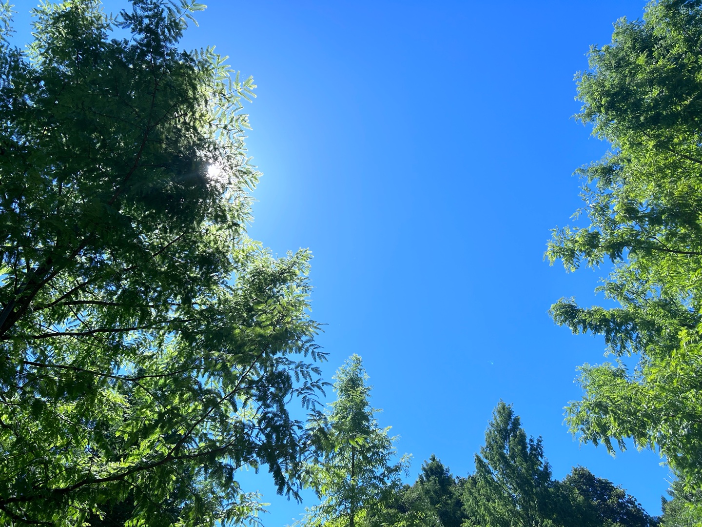 中田敦彦のポジティブ思考法ラッキー[星]｜GRAVITY(グラビティ) SNS